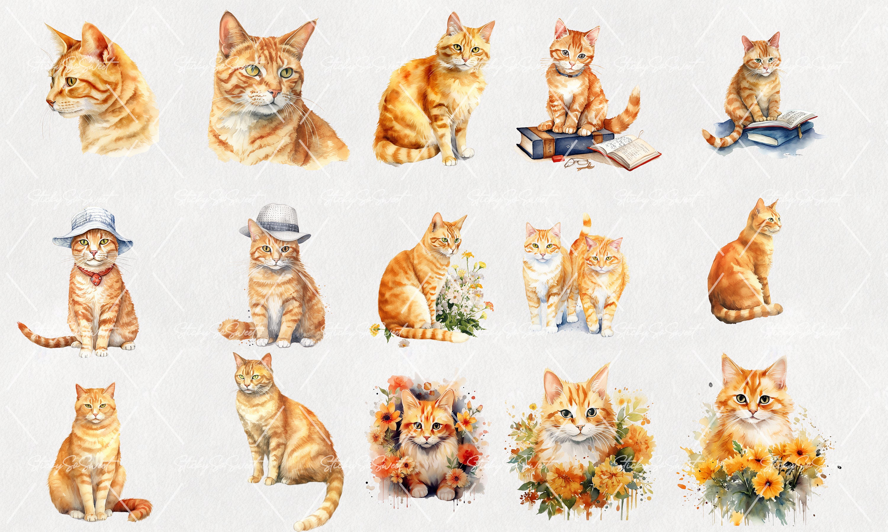 Watercolor Orange Cat Bundle Clipart PNG Commercial Use - Etsy UK