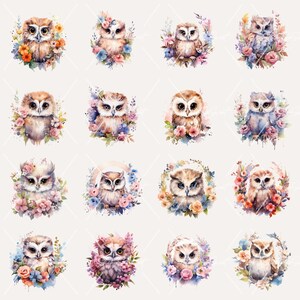 Watercolor Floral Owl Bundle Clipart | PNG | Commercial Use | Instant ...
