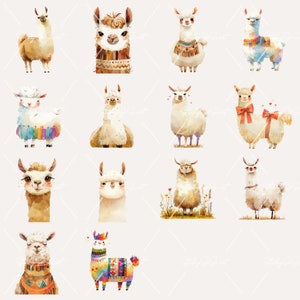 Watercolor Quirky Llama Clipart Bundle | PNG | Commercial Use | Instant ...
