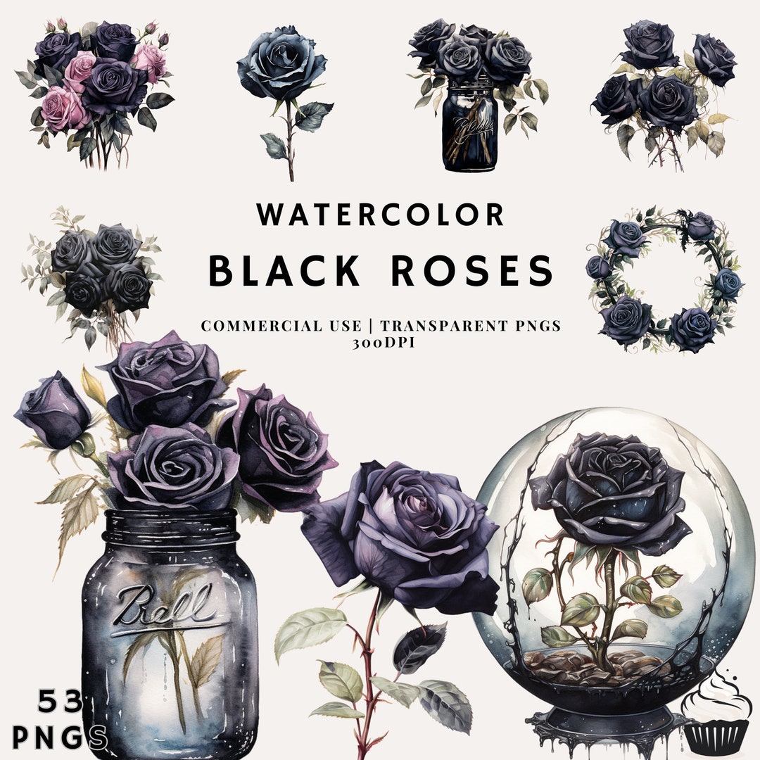 Watercolor Black Rose Bundle Clipart | PNG | Commercial Use | Instant ...