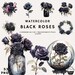 Watercolor Black Rose Bundle Clipart | PNG | Commercial Use | Instant ...