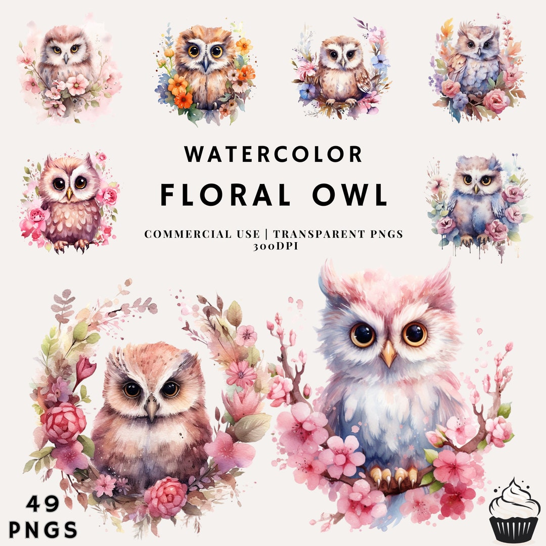 Watercolor Floral Owl Bundle Clipart | PNG | Commercial Use | Instant ...