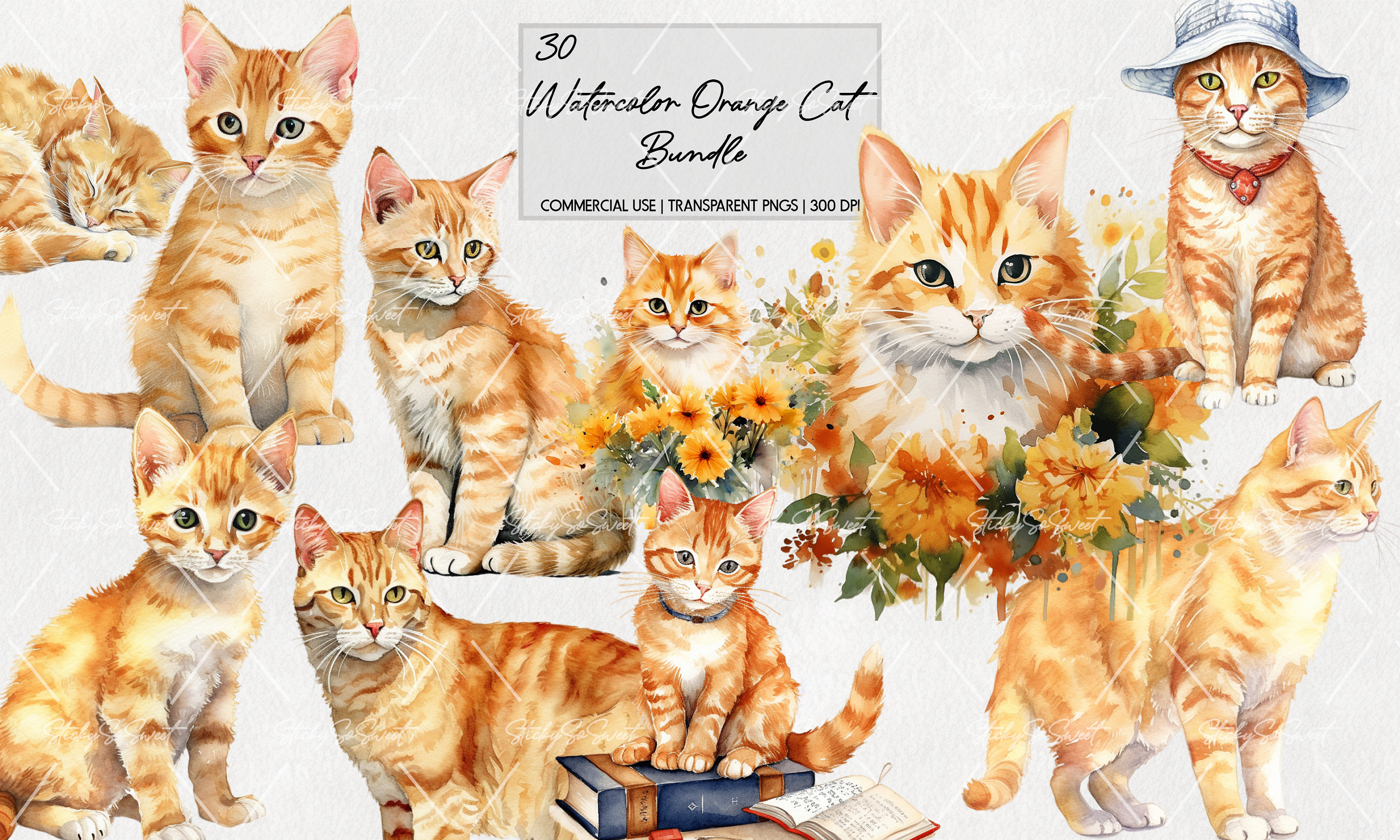Watercolor Orange Cat Bundle Clipart PNG Commercial Use - Etsy UK