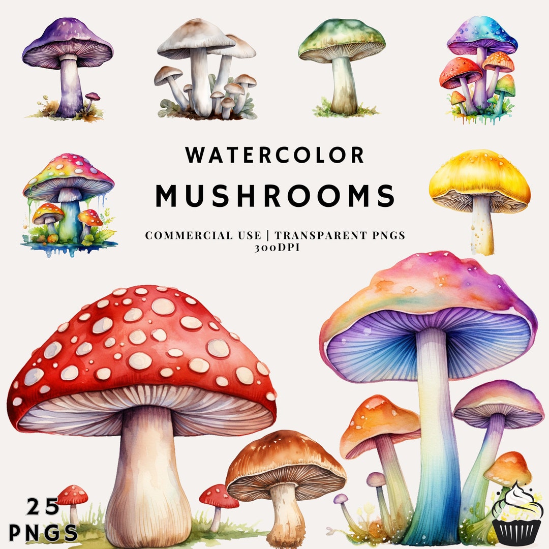 Watercolor Mushroom Bundle Clipart | PNG | Commercial Use | Instant ...