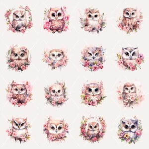 Watercolor Floral Owl Bundle Clipart | PNG | Commercial Use | Instant ...