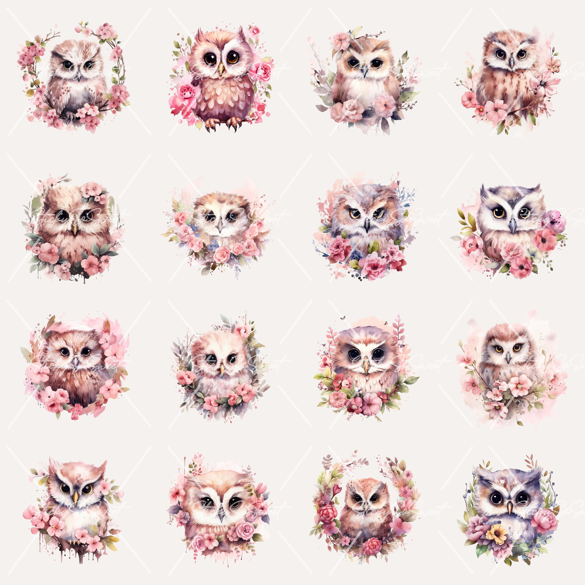 Watercolor Floral Owl Bundle Clipart PNG Commercial Use Instant ...