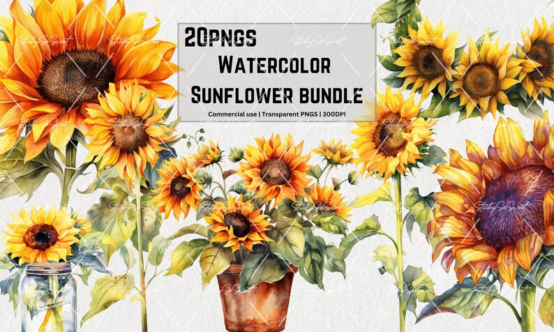 Watercolor Sunflower Bundle Clipart PNG Commercial Use - Etsy