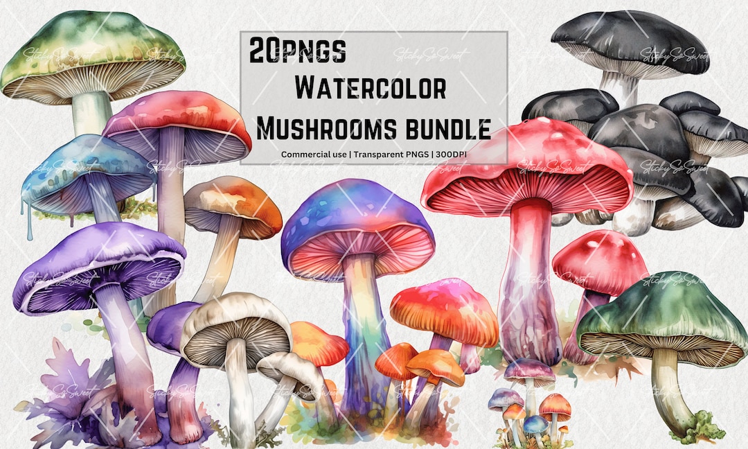 Watercolor Mushroom Bundle Clipart PNG Commercial Use - Etsy