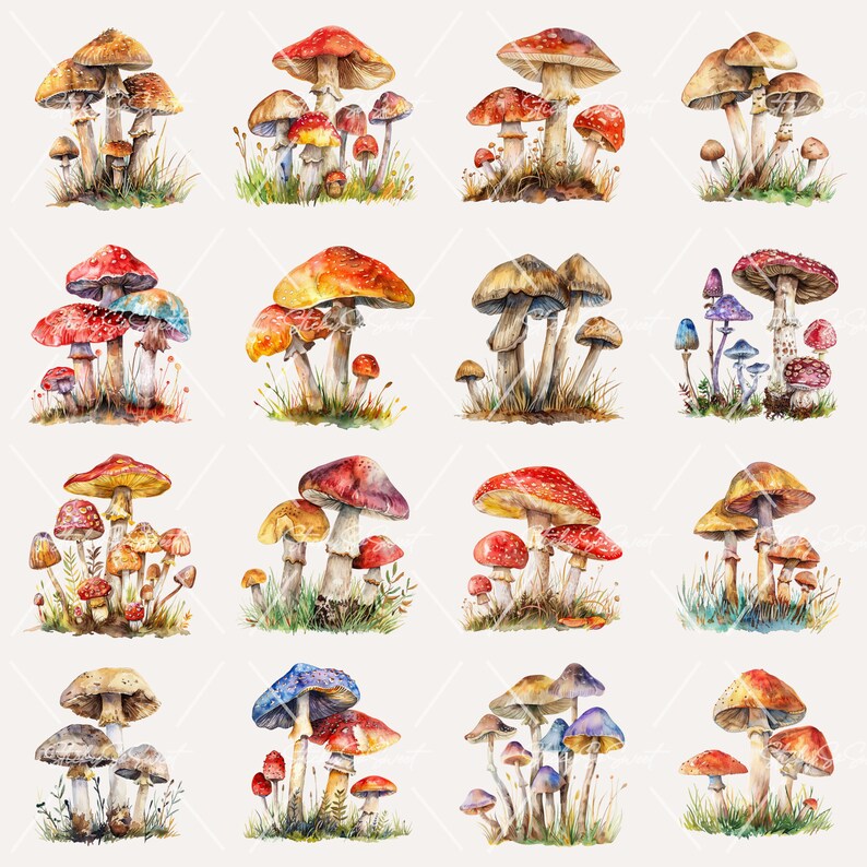 Watercolor Mushrooms Clipart Bundle | PNG | Commercial Use | Instant ...
