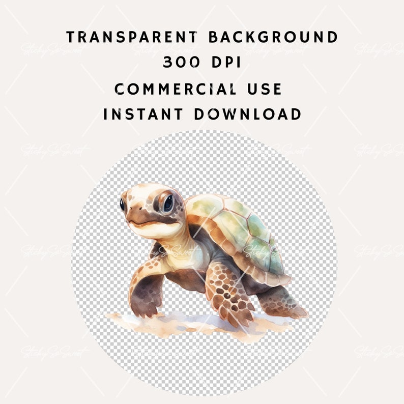 Watercolor Cute Turtle Clipart Bundle | PNG | Commercial Use | Instant ...