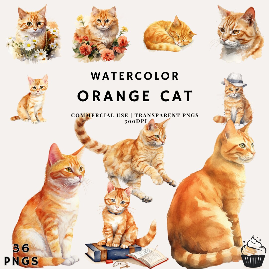 Watercolor Orange Cat Bundle Clipart | PNG | Commercial Use | Instant ...