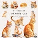 Watercolor Orange Cat Bundle Clipart | PNG | Commercial Use | Instant ...