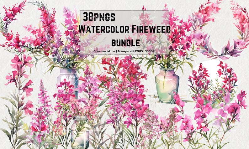 Watercolor Fireweed Bundle Clipart PNG Commercial Use - Etsy
