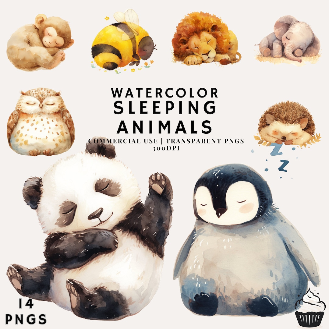 Watercolor Sleeping Animals Clipart Bundle | PNG | Commercial Use ...