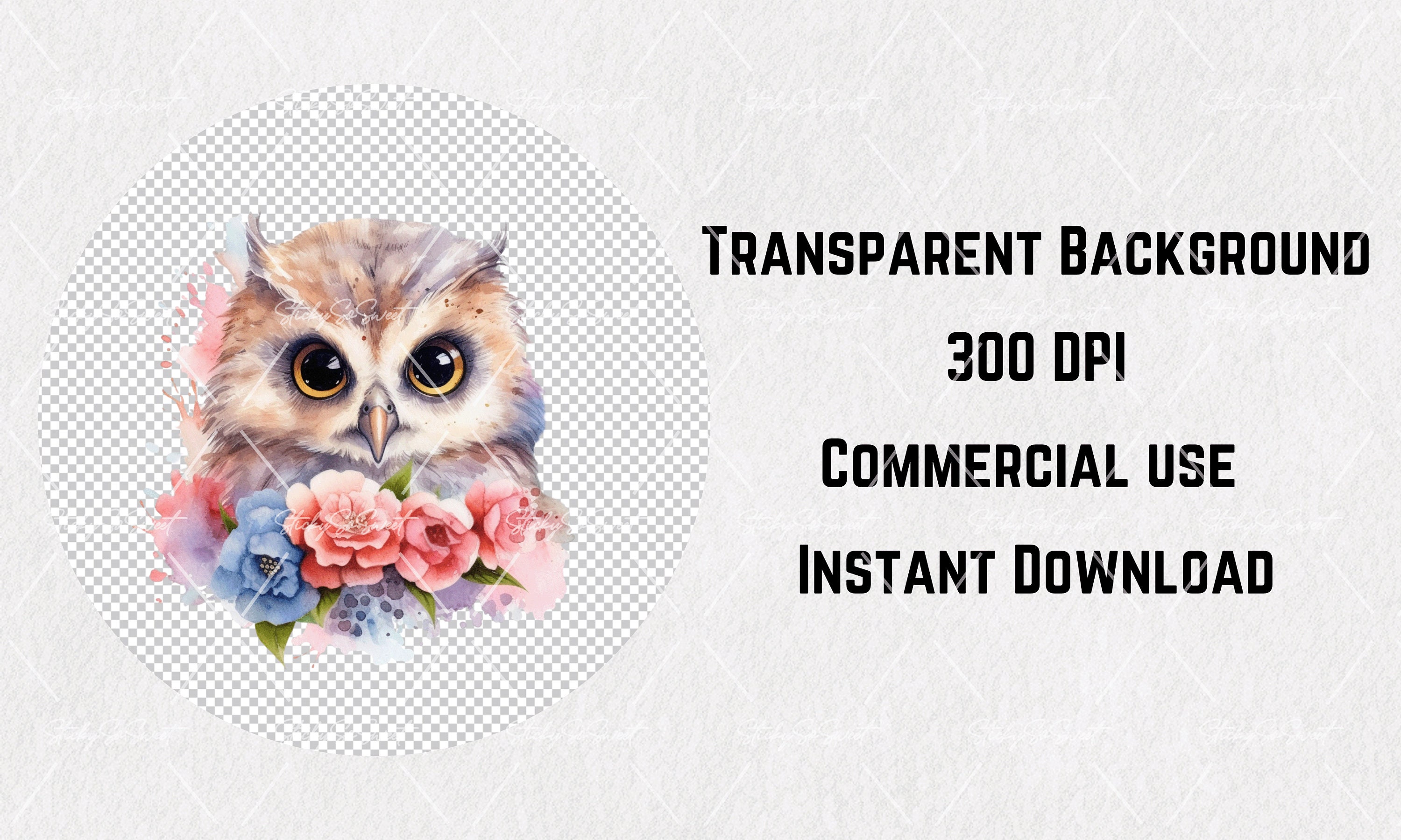 Watercolor Floral Owl Bundle Clipart PNG Commercial Use - Etsy