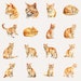 Watercolor Orange Cat Bundle Clipart | PNG | Commercial Use | Instant ...