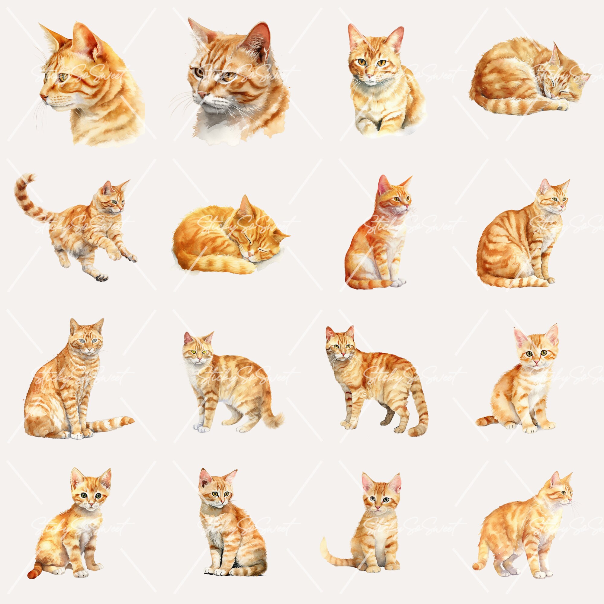 Watercolor Orange Cat Bundle Clipart PNG Commercial Use Instant ...