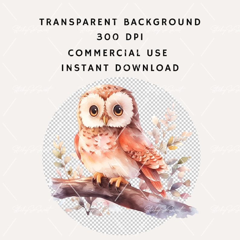Watercolor Cute Owl Clipart | Fantasy PNG Bundle (commercial Use) - Etsy