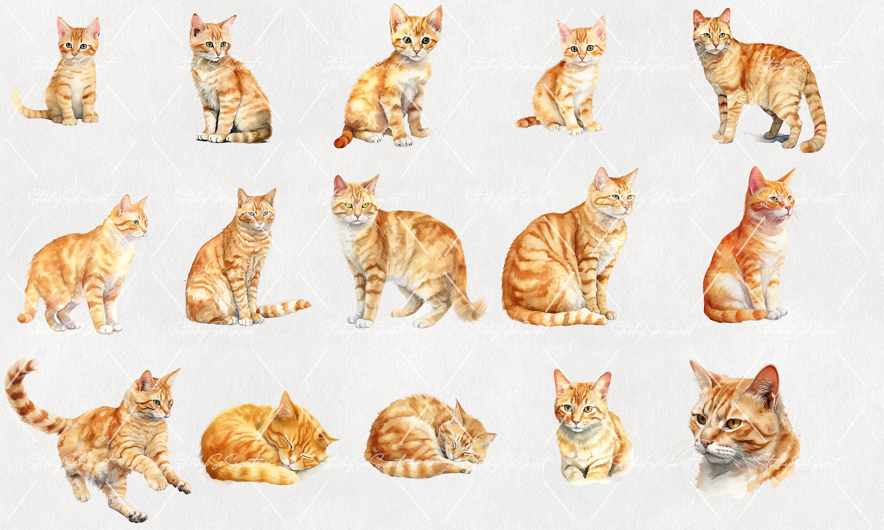 Watercolor Orange Cat Bundle Clipart PNG Commercial Use - Etsy UK