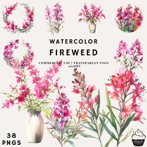 Watercolor Fireweed Bundle Clipart | PNG | Commercial Use | Instant ...