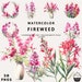 Watercolor Fireweed Bundle Clipart | PNG | Commercial Use | Instant ...
