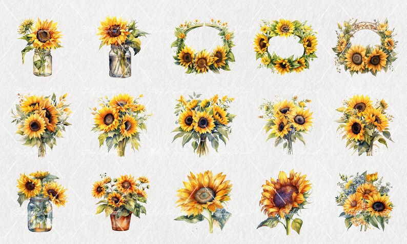 Watercolor Sunflower Bundle Clipart PNG Commercial Use - Etsy