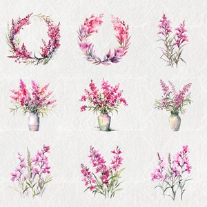 Watercolor Fireweed Bundle Clipart PNG Commercial Use - Etsy