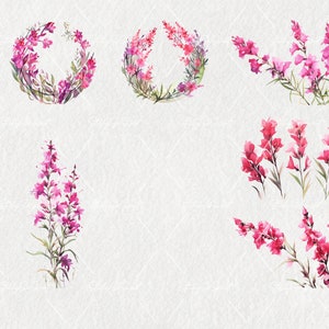 Watercolor Fireweed Bundle Clipart PNG Commercial Use - Etsy