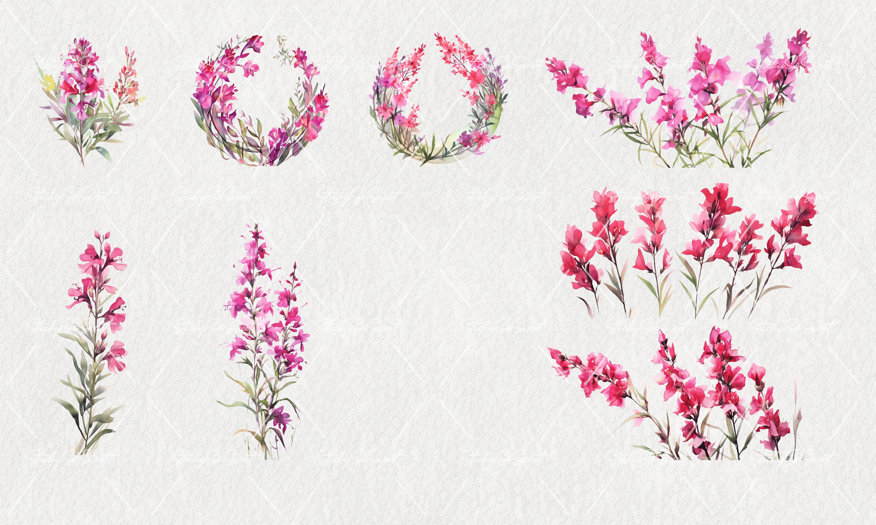 Watercolor Fireweed Bundle Clipart PNG Commercial Use - Etsy
