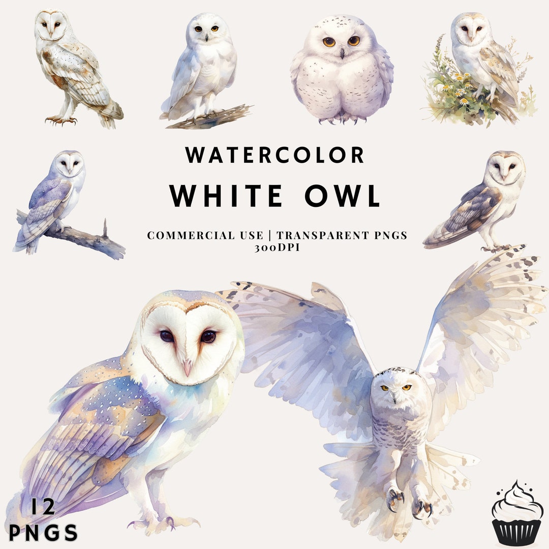 Watercolor Cute White Owl Clipart Bundle | PNG | Commercial Use ...