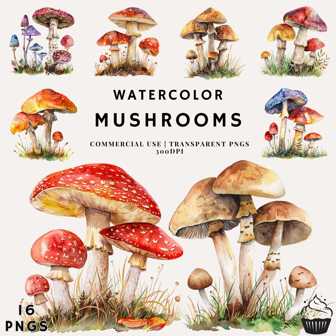 Watercolor Mushrooms Clipart Bundle | PNG | Commercial Use | Instant ...