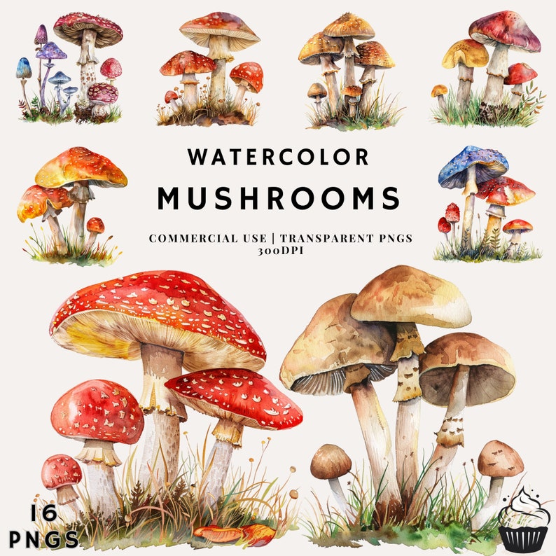 Watercolor Mushrooms Clipart Bundle | PNG | Commercial Use | Instant ...