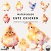 Watercolor Cute Chicken Bundle Clipart | PNG | Commercial Use | Instant ...
