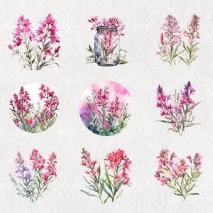 Watercolor Fireweed Bundle Clipart PNG Commercial Use - Etsy