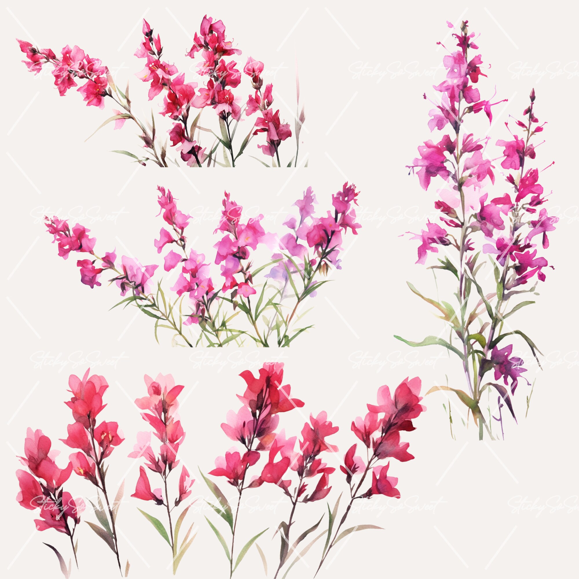 Watercolor Fireweed Bundle Clipart | PNG | Commercial Use | Instant ...