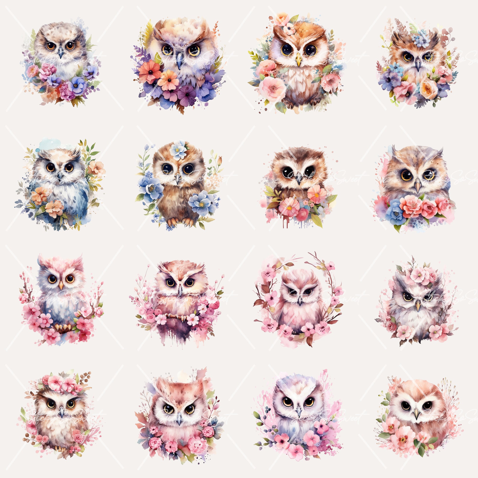 Watercolor Floral Owl Bundle Clipart PNG Commercial Use Instant ...