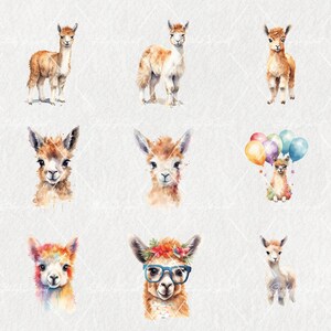 Watercolor Floral Llama Bundle Clipart PNG Commercial Use - Etsy
