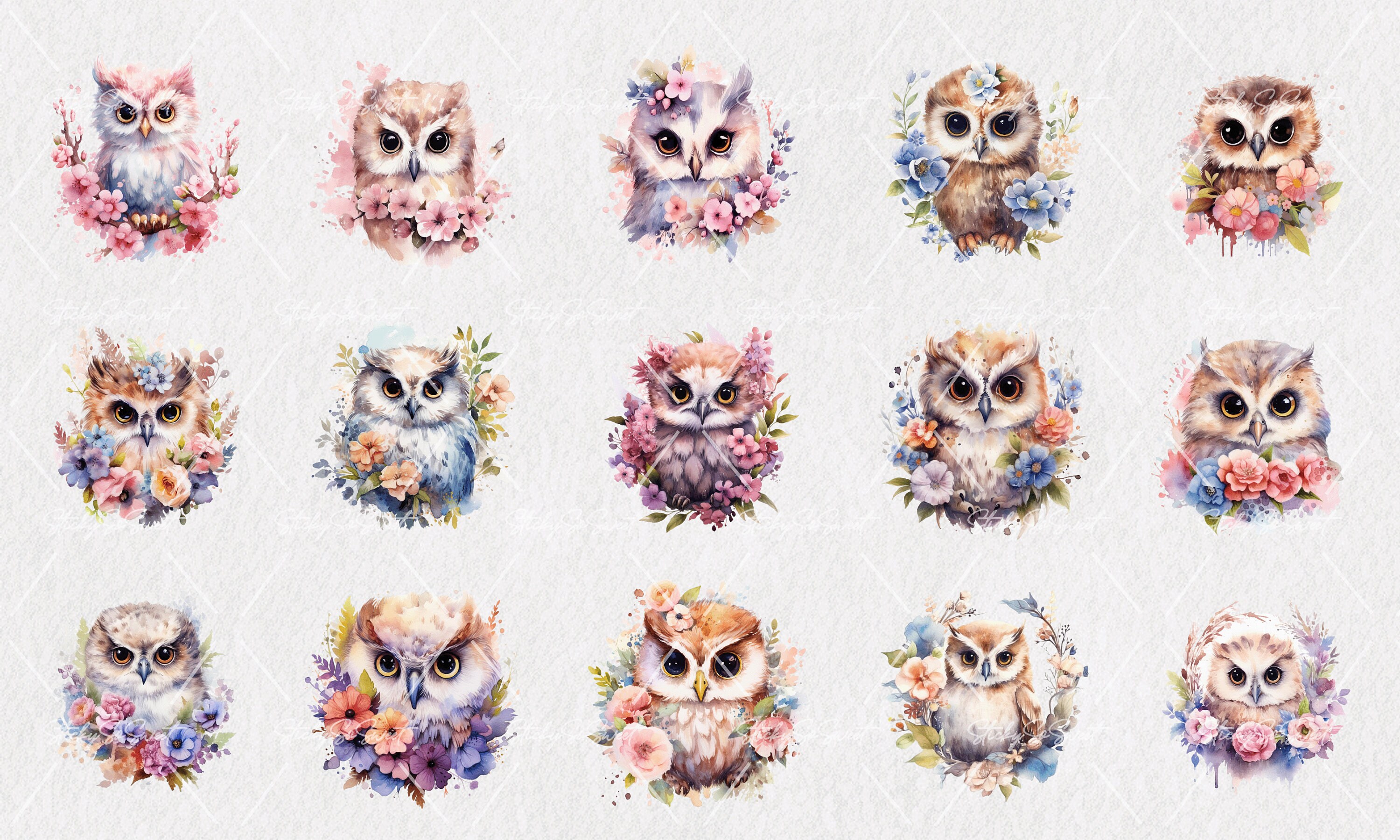 Watercolor Floral Owl Bundle Clipart PNG Commercial Use - Etsy