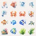 Watercolor Cute Sea Nursery Animals Bundle Clipart PNG Commercial Use ...