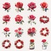 Watercolor Red Rose Bundle Clipart | PNG | Commercial Use | Instant ...