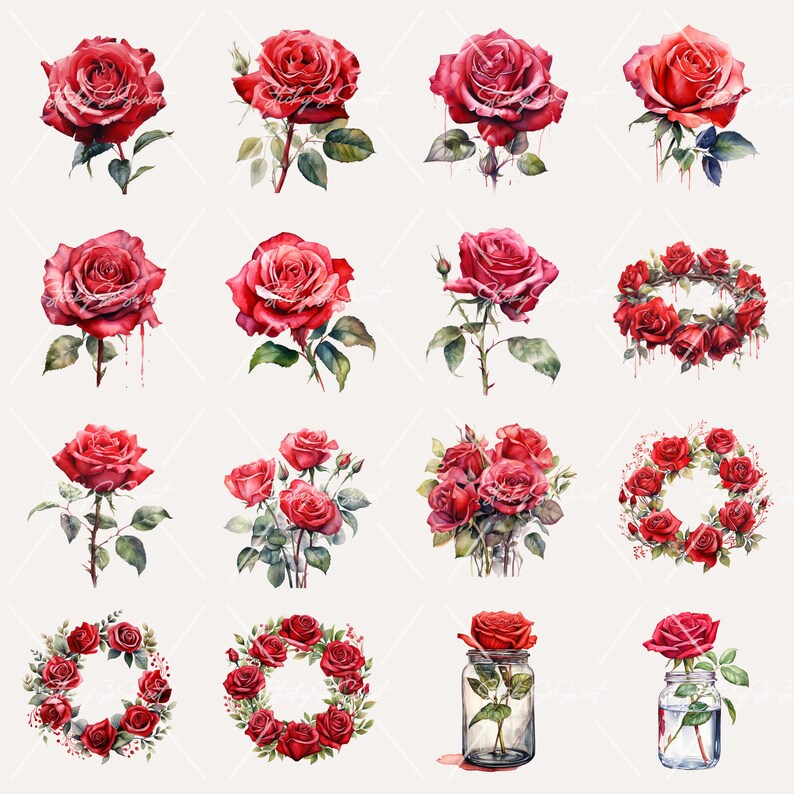 Watercolor Red Rose Bundle Clipart PNG Commercial Use Instant Download ...