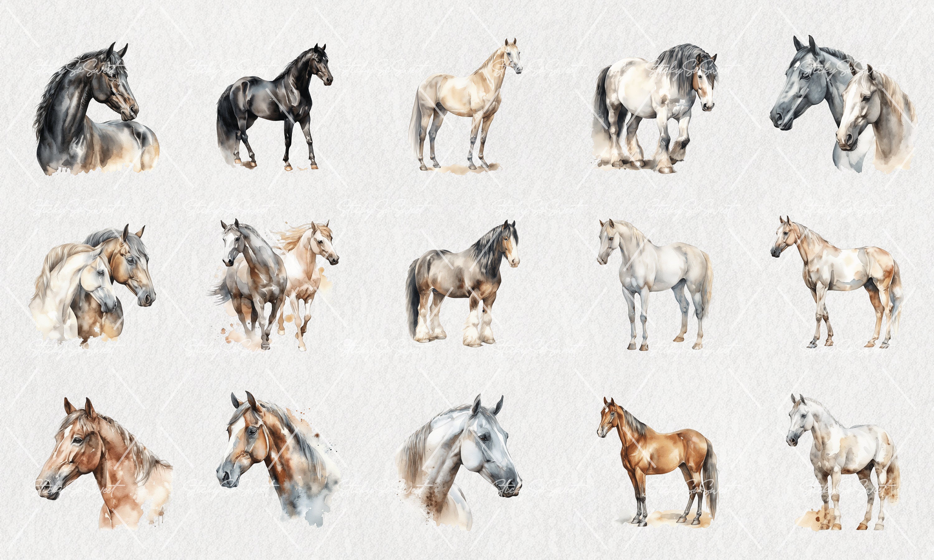 Watercolor Horse Bundle Clipart PNG Commercial Use - Etsy