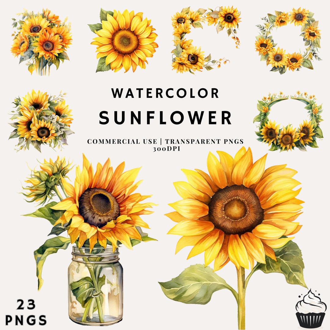 Watercolor Sunflower Bundle Clipart | PNG | Commercial Use | Instant ...