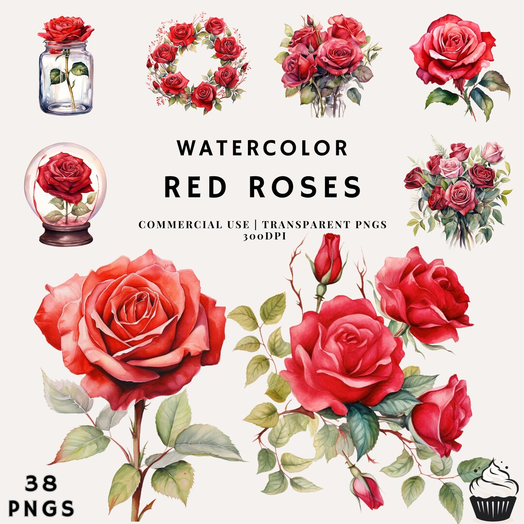 Watercolor Red Rose Bundle Clipart PNG Commercial Use Instant Download ...