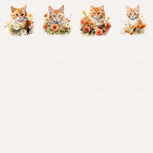 Watercolor Orange Cat Bundle Clipart | PNG | Commercial Use | Instant ...