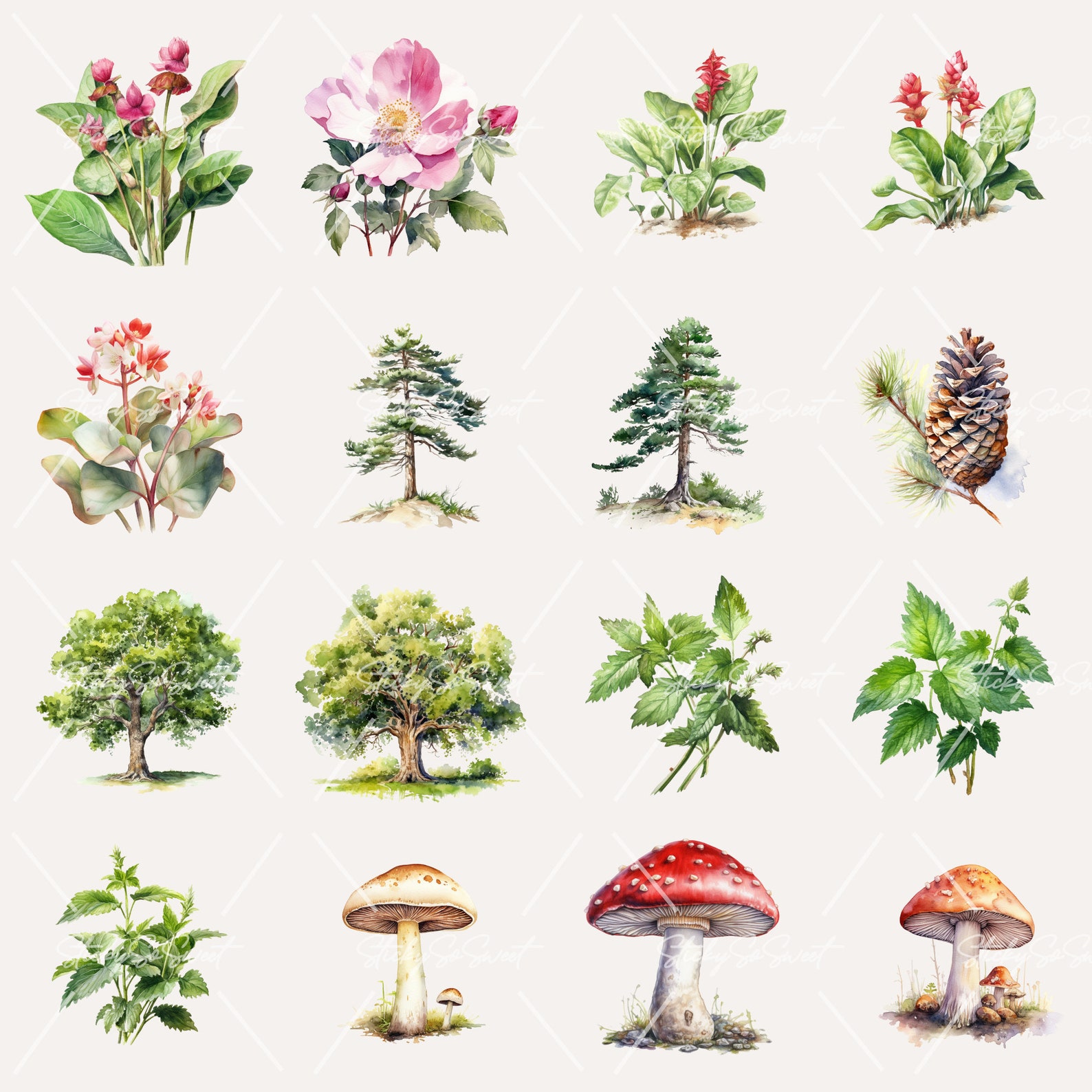 Watercolor Woodland Plants Bundle Clipart | PNG | Commercial Use ...