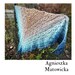 RUTH Shawl Crochet Pattern - Etsy Canada