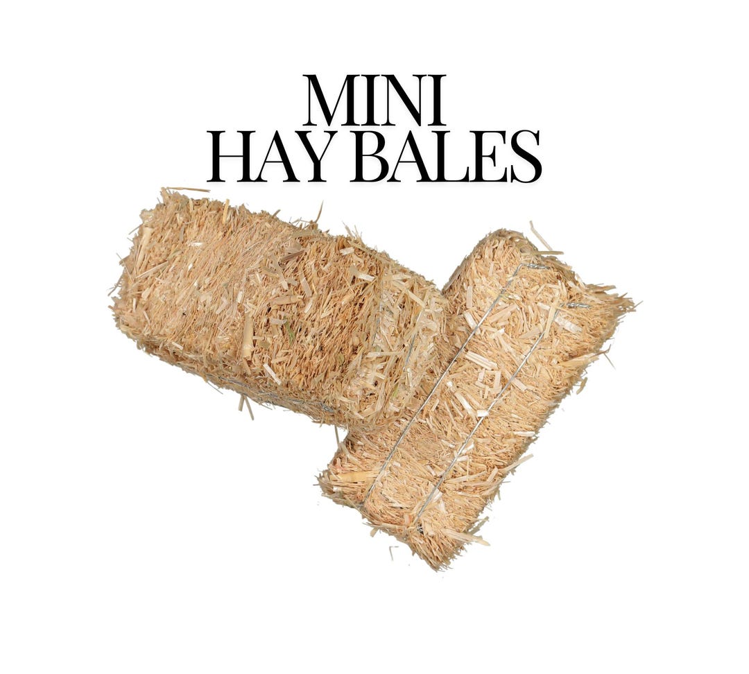 Mini Hay Bales Perfect for Fall Decor, Rustic Displays, and Harvest ...