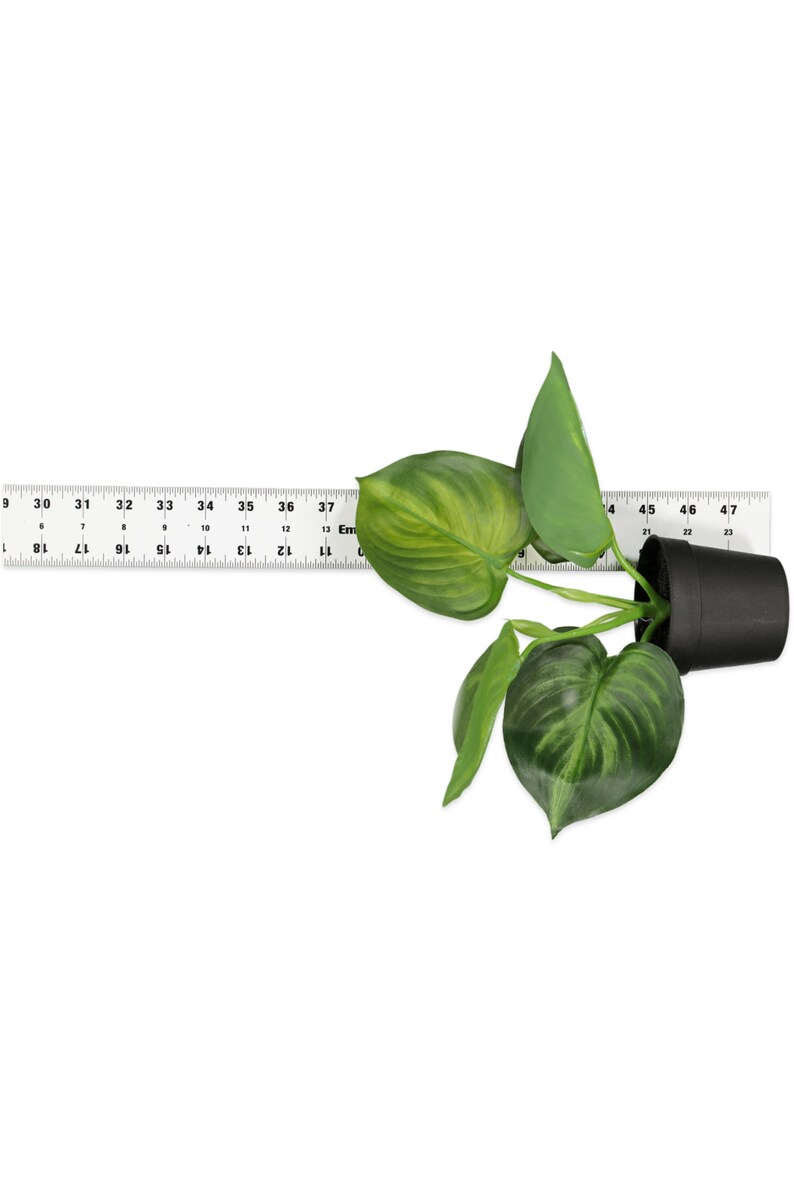 Pothos Desk Plant in Modern Matte Black Pot Office Decor, Faux Greenery ...