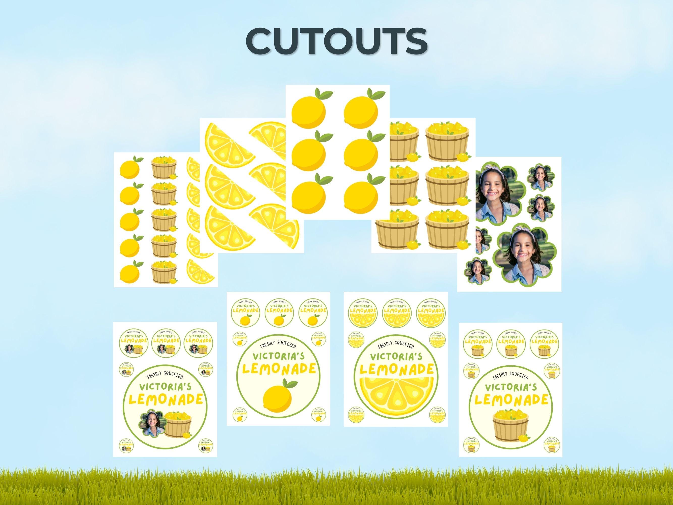 Editable Kids Lemonade Stand Kit: Printable Business With Signs, Menus ...